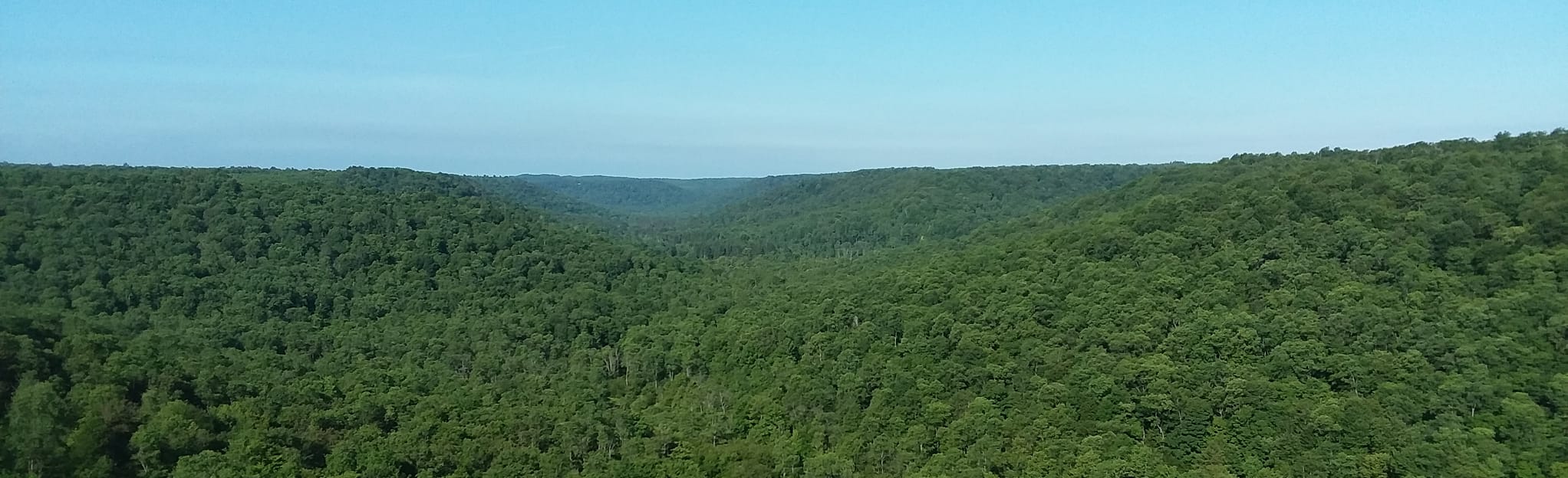 Knox & Kane Rail Trail - Pennsylvania | AllTrails