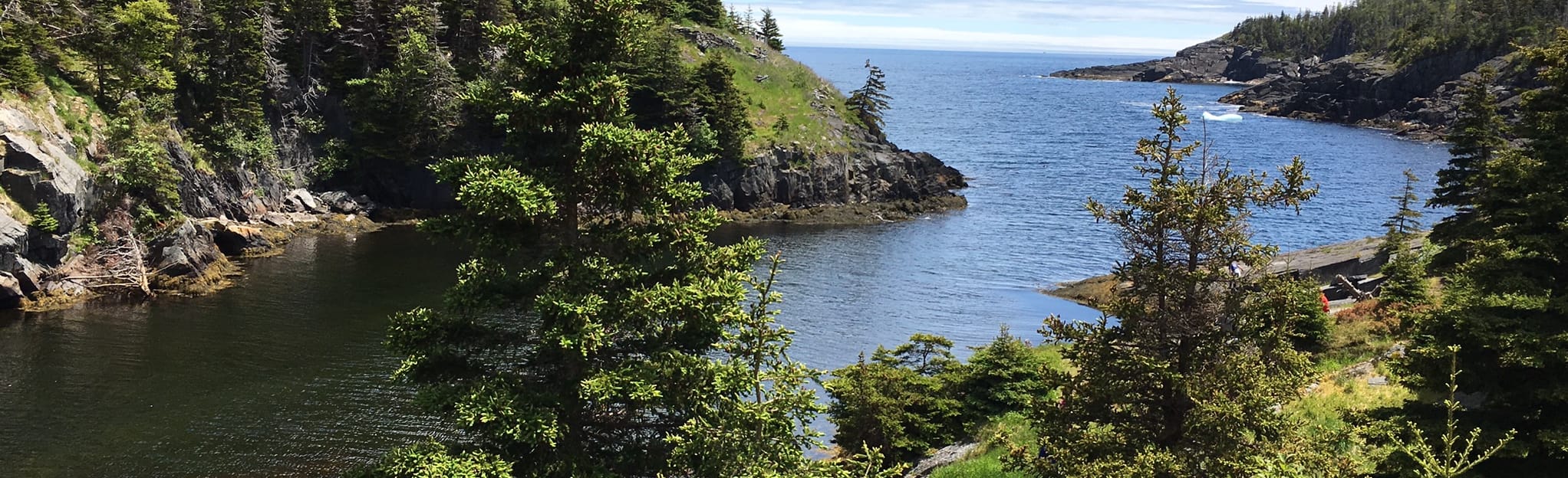 Flamber Head Path, Newfoundland and Labrador, Canada - 84 Reviews, Map ...