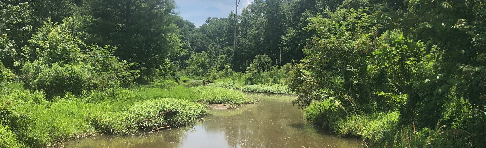Newman Wetlands Center Boardwalk Trail - Georgia | AllTrails