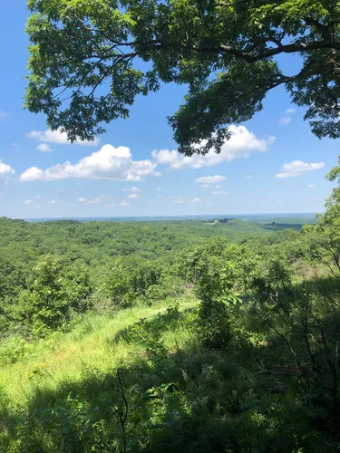 Best Hikes and Trails in Spring Creek Gap Conservation Area | AllTrails