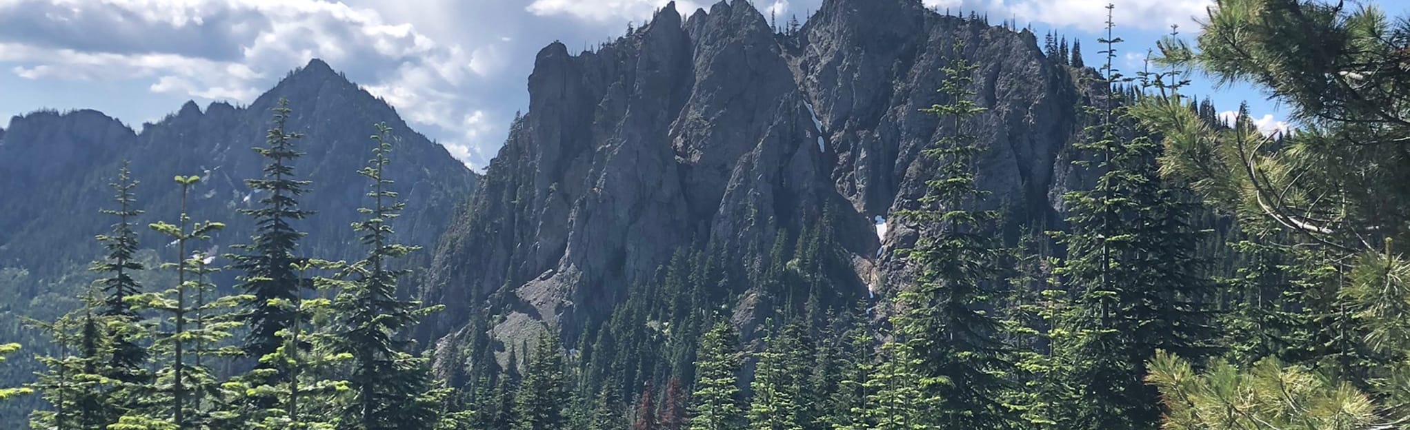 Kachess Ridge Trail: 61 Reviews, Map - Washington | AllTrails