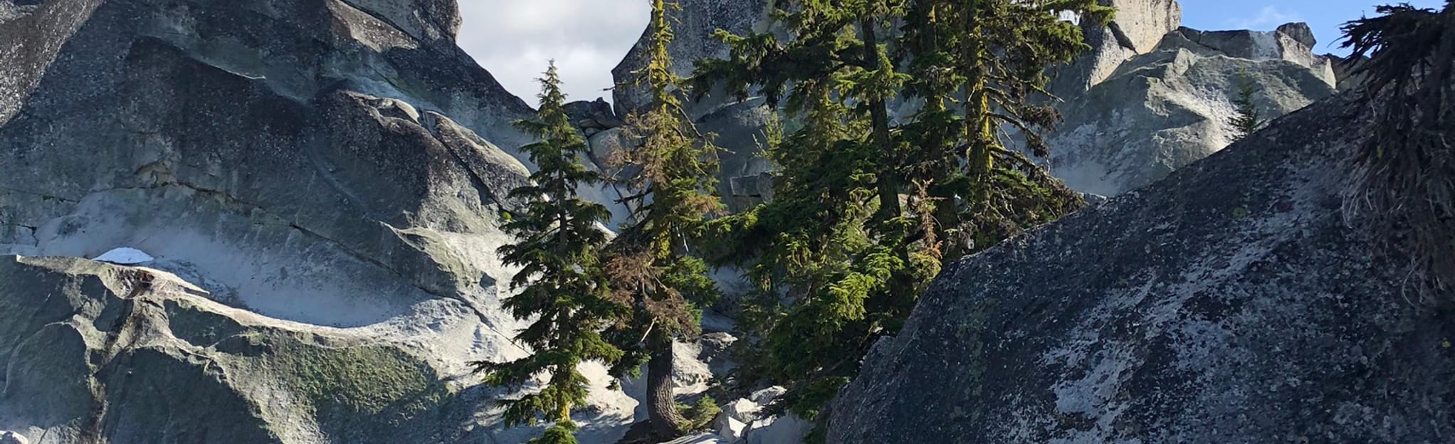Statue Lake Trail, California - 57 Reviews, Map | AllTrails