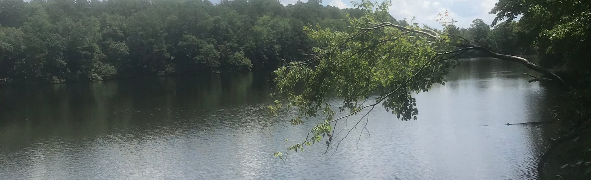 Venable Lake Loop, Georgia - 683 Reviews, Map | AllTrails