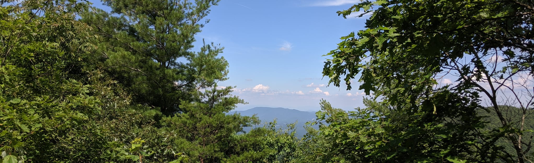 Big Frog Trail, Tennessee - 137 Reviews, Map | AllTrails