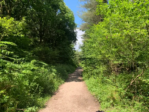 10 Best Trails, Walks, and Paths in Fareham | AllTrails