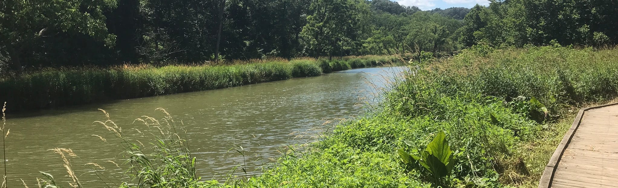 High Meadow, Mingo, Beaver Run, Maryland - 140 Reviews, Map | AllTrails