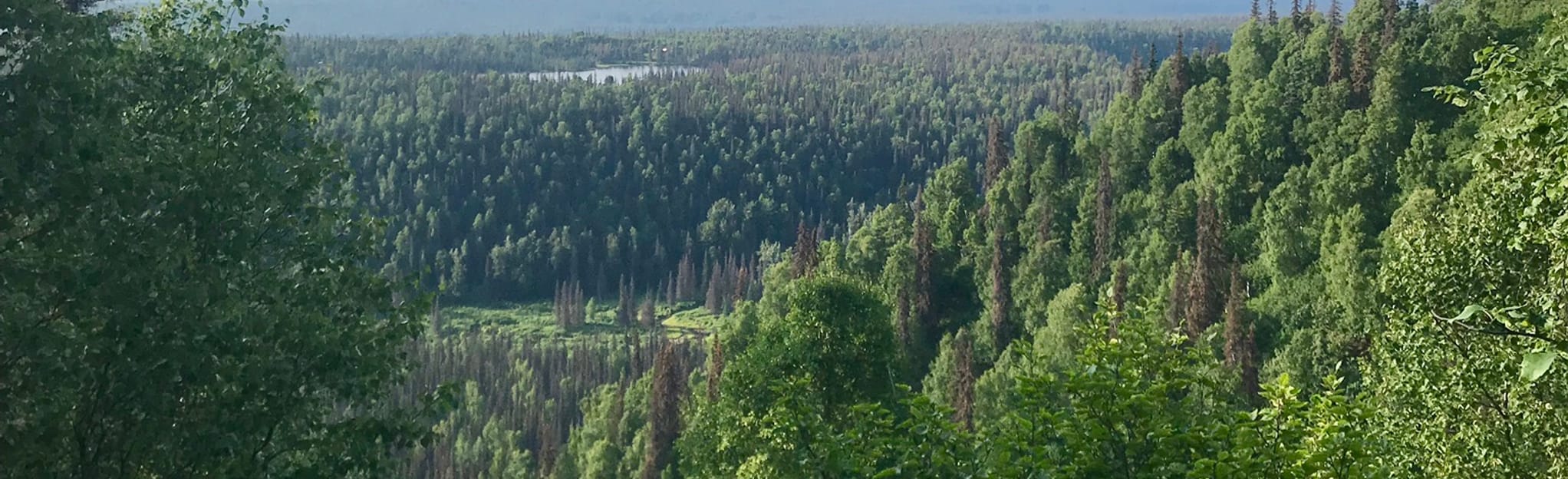 Ermine Hill Trail, Alaska - 94 Reviews, Map | AllTrails