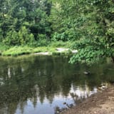 River Bend County Park Loop, Oregon - 21 Reviews, Map | AllTrails