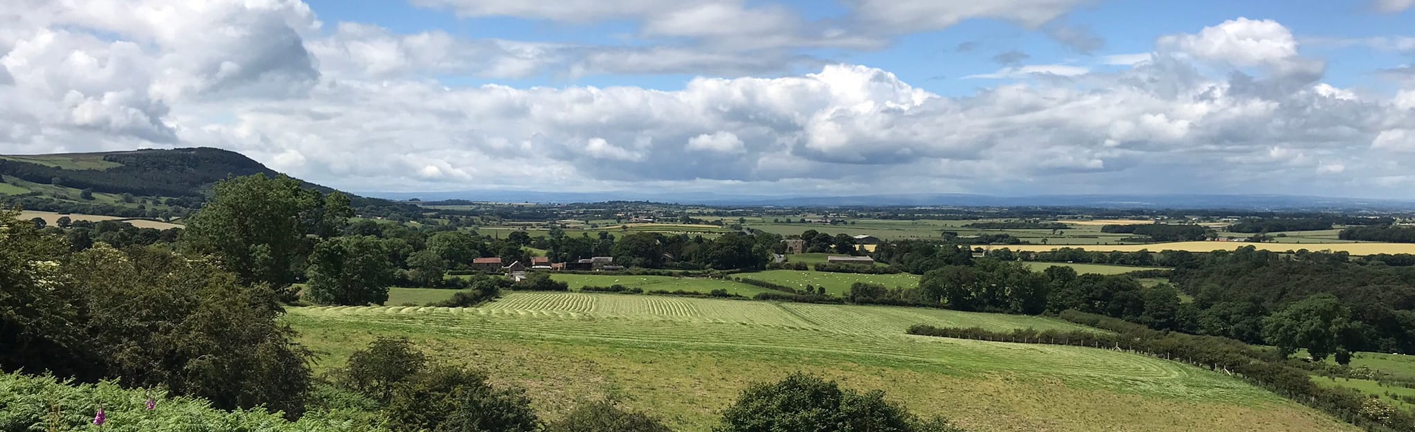 Swainby, Faceby, and Huthwaite Plantation Circular: 9 Reviews, Map ...