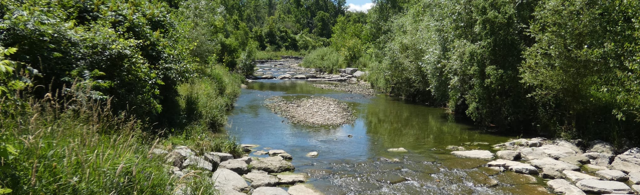 King's Forest via Red Hill Valley Trail: 251 Fotos - Ontario, Kanada ...