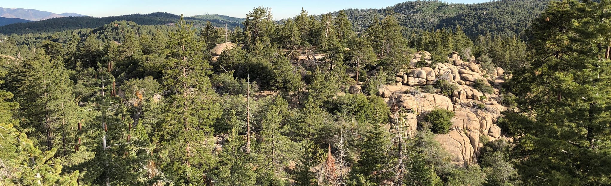 Exploration Trail: 491 Reviews, Map - California | AllTrails