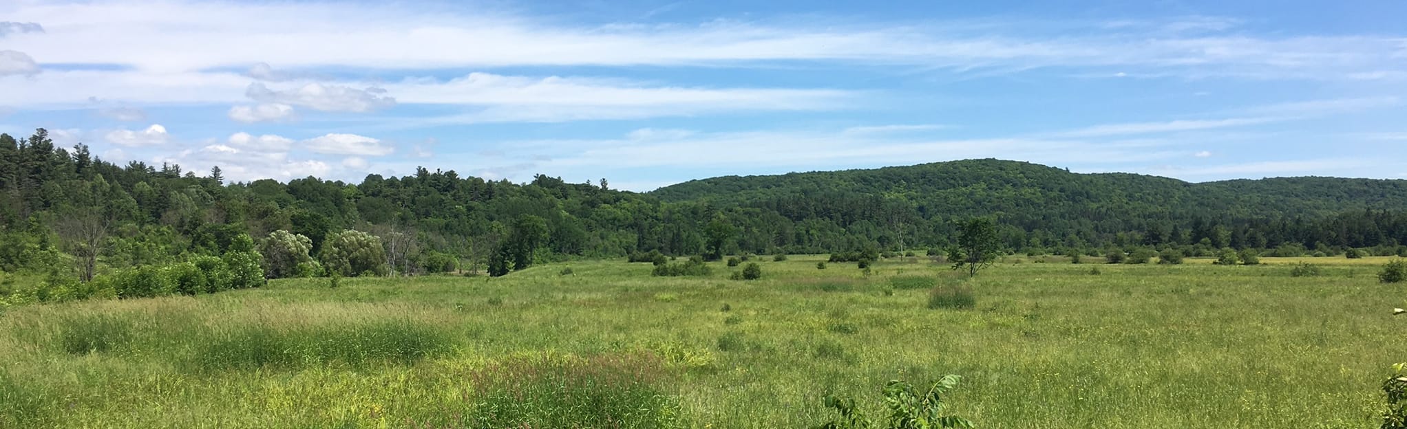 Trail 50 to Lac Phillipe: 224 fotos - Quebec, Canadá | AllTrails