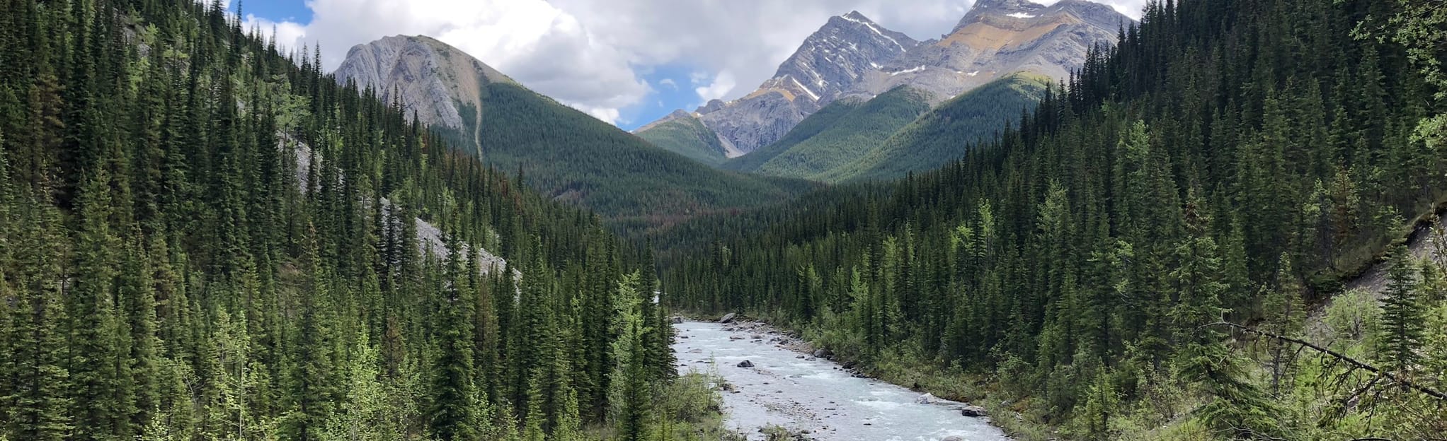 Fiddle River Trail: Miette to Fiddle Pass : 127 Photos - Alberta ...