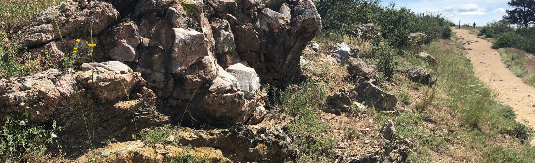 Horsetooth Falls Loop Trail, Colorado - 2,138 Reviews, Map | AllTrails