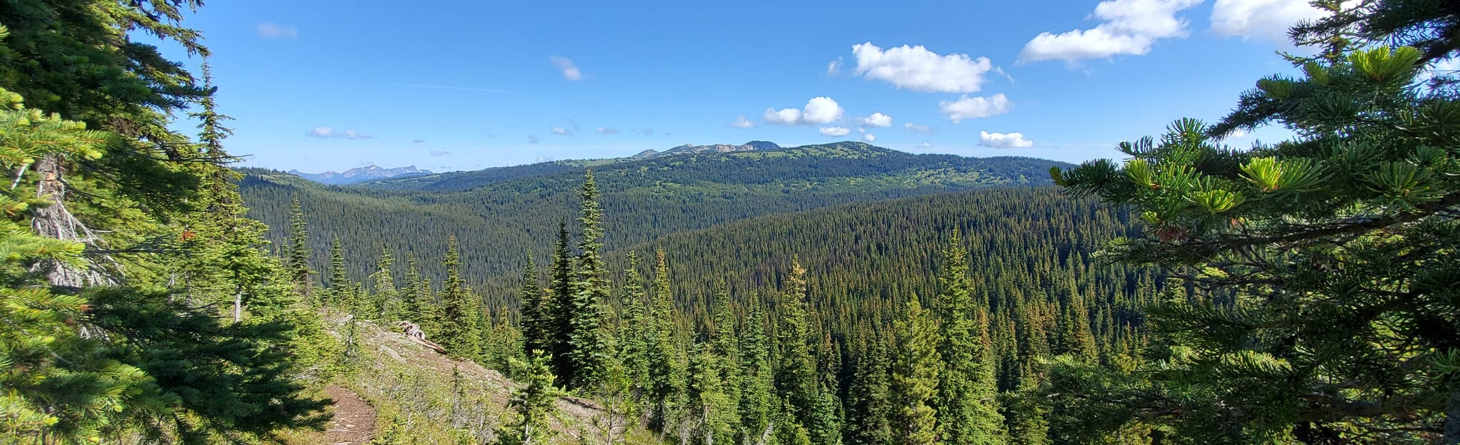 Viewpoint Loop - Heather Trail, British Columbia, Canada - 55 Reviews ...