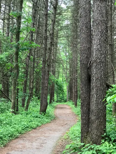 Best Hikes and Trails in Harris Nature Center | AllTrails
