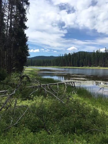 Best Hikes and Trails in Seeley Lake | AllTrails