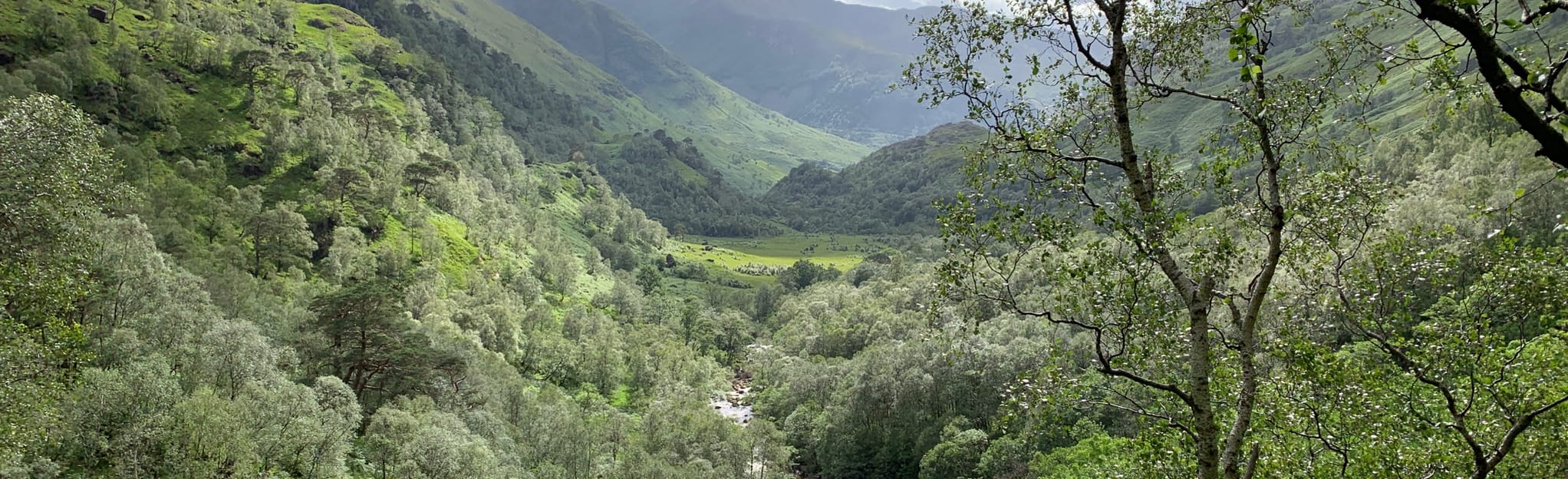 Steall Falls Path, Highlands, Scotland - 441 Reviews, Map | AllTrails
