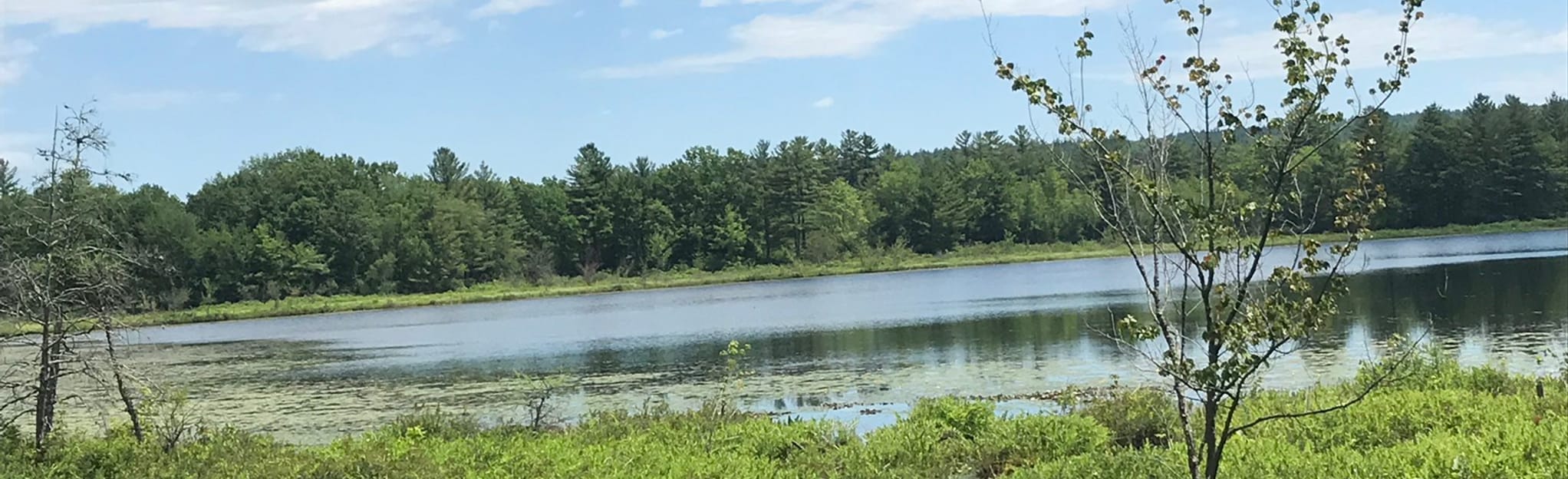 Heads Pond, New Hampshire - 749 Reviews, Map | AllTrails