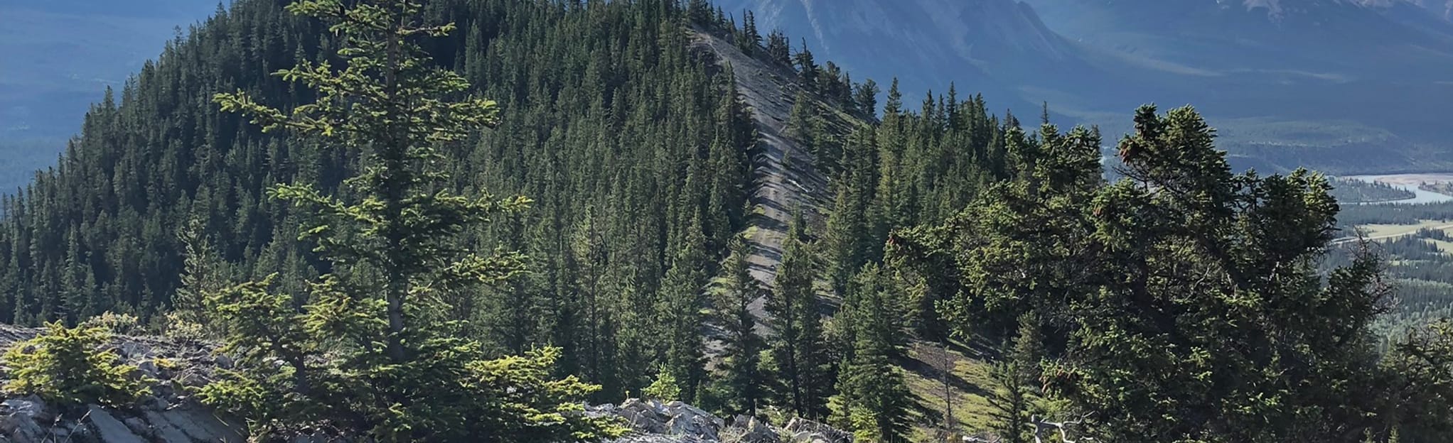 Mount Ernest Ross: 190 fotos - Alberta, Canadá | AllTrails