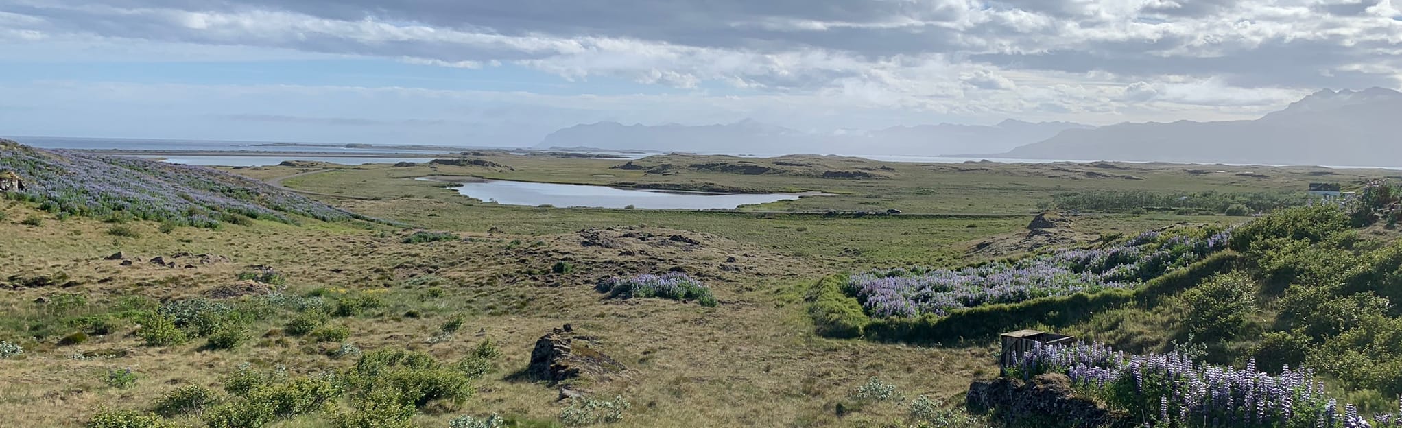 Djúpivogur - Búlandsness, Eastern, Iceland - 31 Reviews, Map | AllTrails