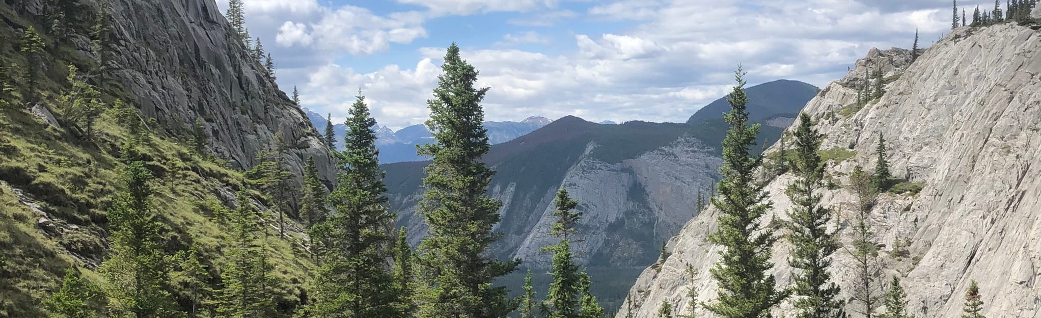 Hidden Valley: 449 Reviews, Map - Alberta, Canada | AllTrails