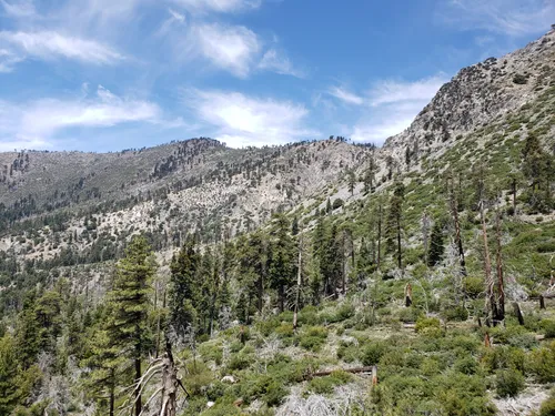 10 Best Trails and Hikes in Azusa | AllTrails