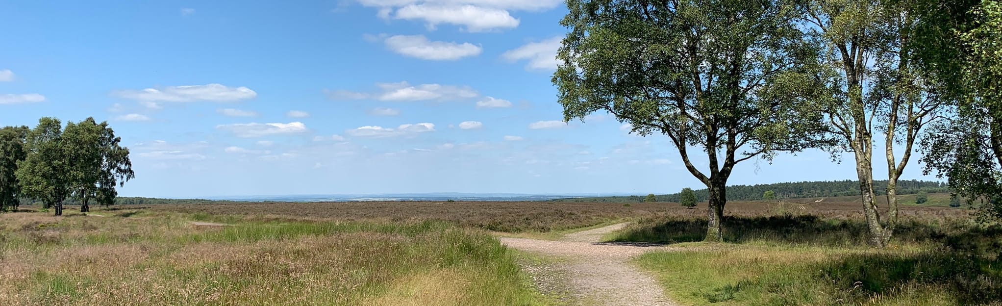 Cannock Chase Circular Route, Staffordshire, England - 36 Reviews, Map ...