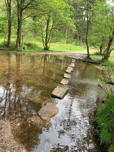 Best 10 Walking Trails, Routes in Cannock Chase Area of Outstanding ...