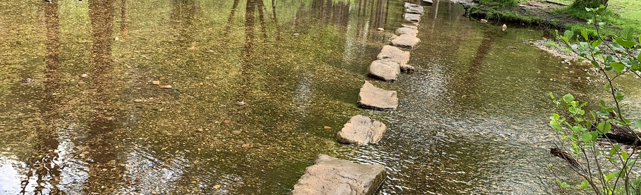 Berry Hill and Sher Brook, Staffordshire, England - 171 Reviews, Map ...