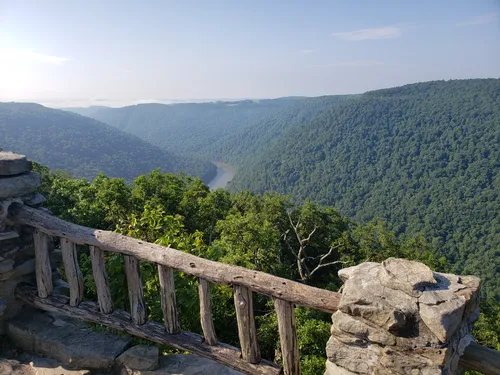 10 Best Hikes and Trails in Coopers Rock State Forest | AllTrails
