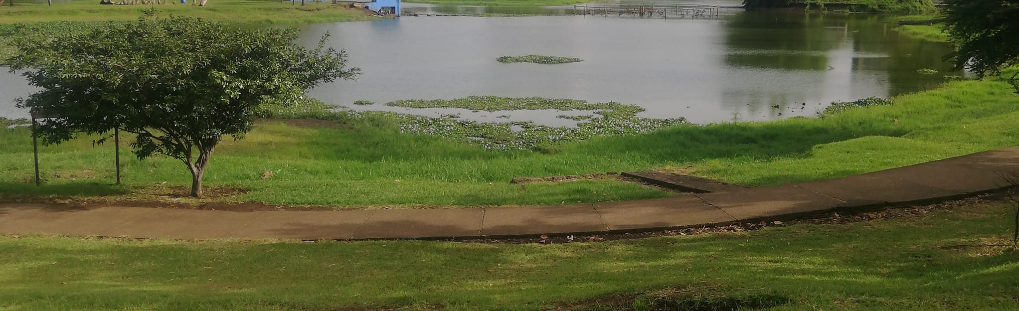 La Sabana Park, San José, Costa Rica - 39 Reviews, Map | AllTrails