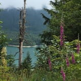 Spada Lake Culmback Dam Trail, Washington - 85 Reviews, Map | AllTrails