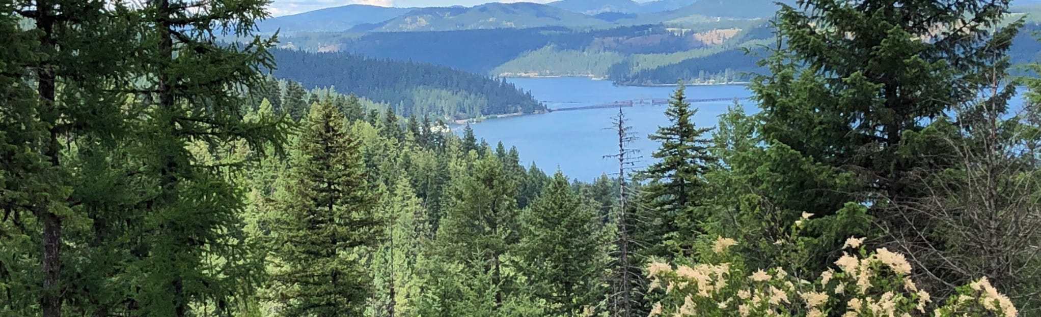 Gandy Dancer Trail, Idaho - 63 Reviews, Map | AllTrails