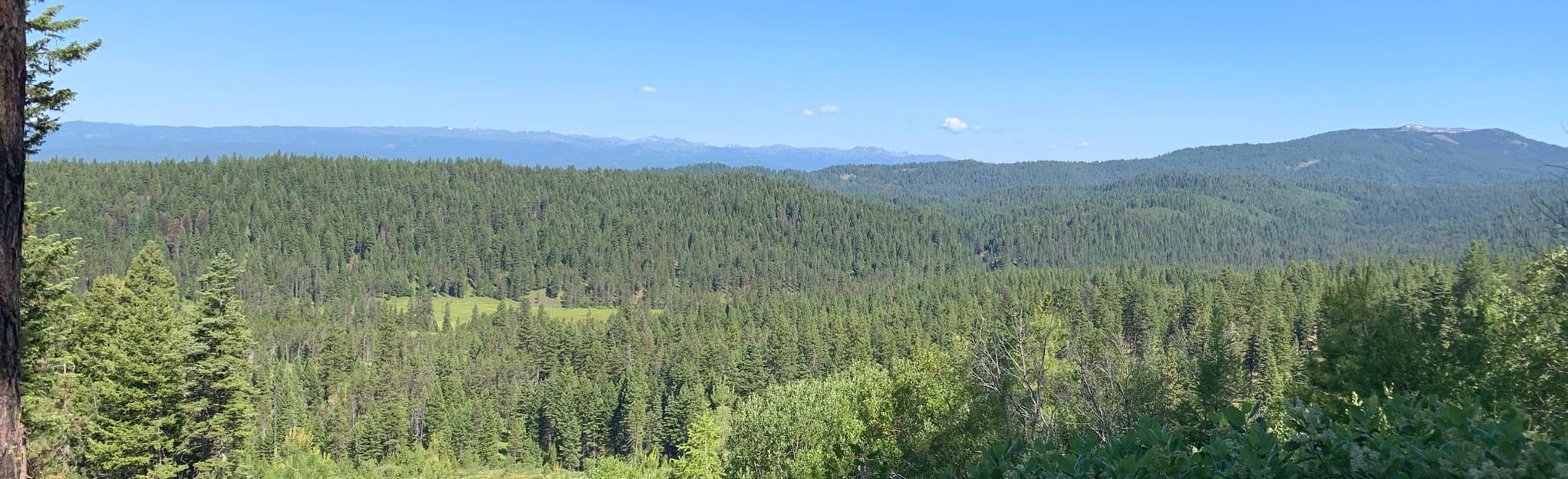 Bear Basin West Face Loop, Idaho - 59 Reviews, Map | AllTrails