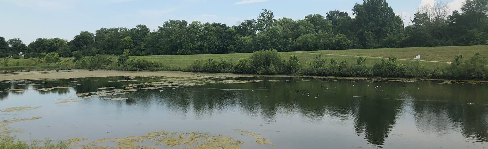 Pogues Run Basin Trail, Indiana - 67 Reviews, Map | AllTrails
