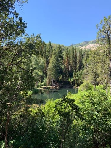 2023 Best 10 Trails and Hikes in Eden | AllTrails