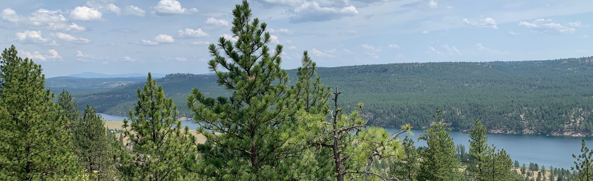 Long Lake Pictographs Loop: 11 Reviews, Map - Washington | AllTrails