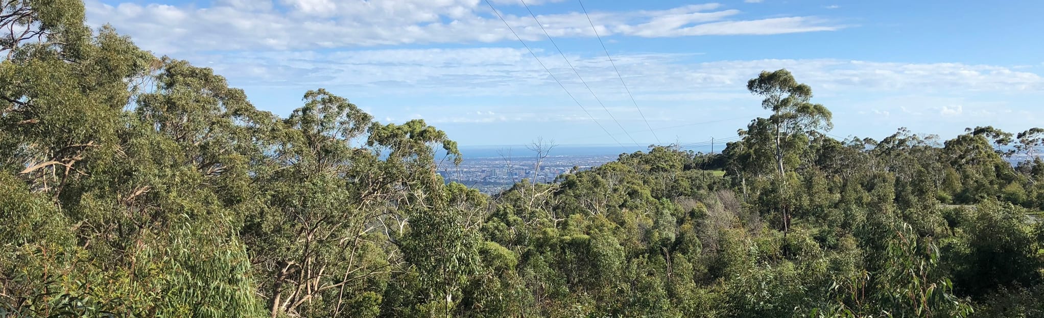 Pengana Spur, Long Ridge, and Winter Track Circuit: 320 Fotos - South ...