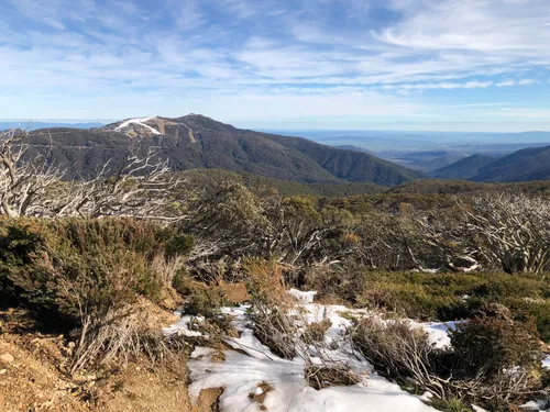10 Best Trails and Hikes in Mount Buller | AllTrails