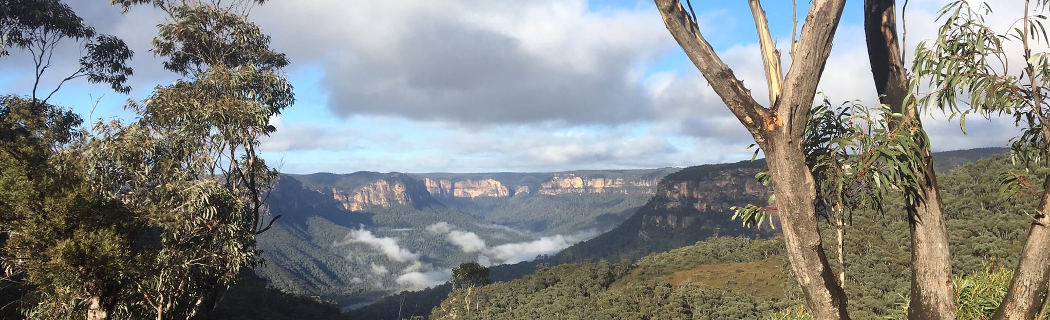 Mount Banks Summit Walk, New South Wales, Australia - 79 Reviews, Map ...