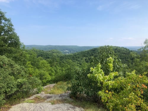 Best Hikes and Trails in Mattatuck State Forest | AllTrails