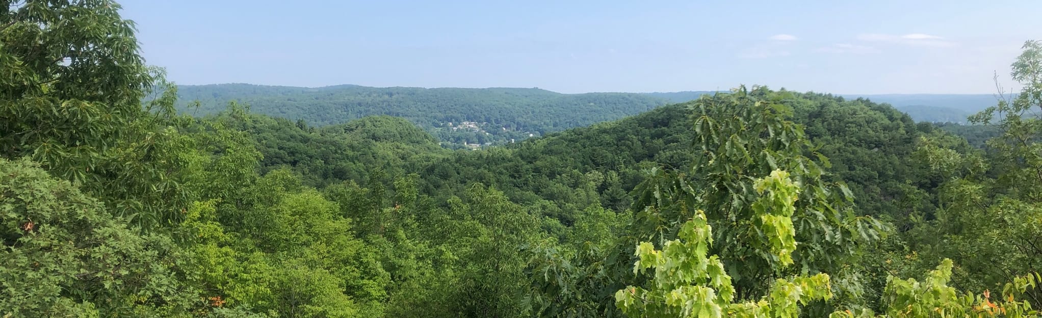Jericho and Mattatuck Trail, Connecticut - 279 Reviews, Map | AllTrails