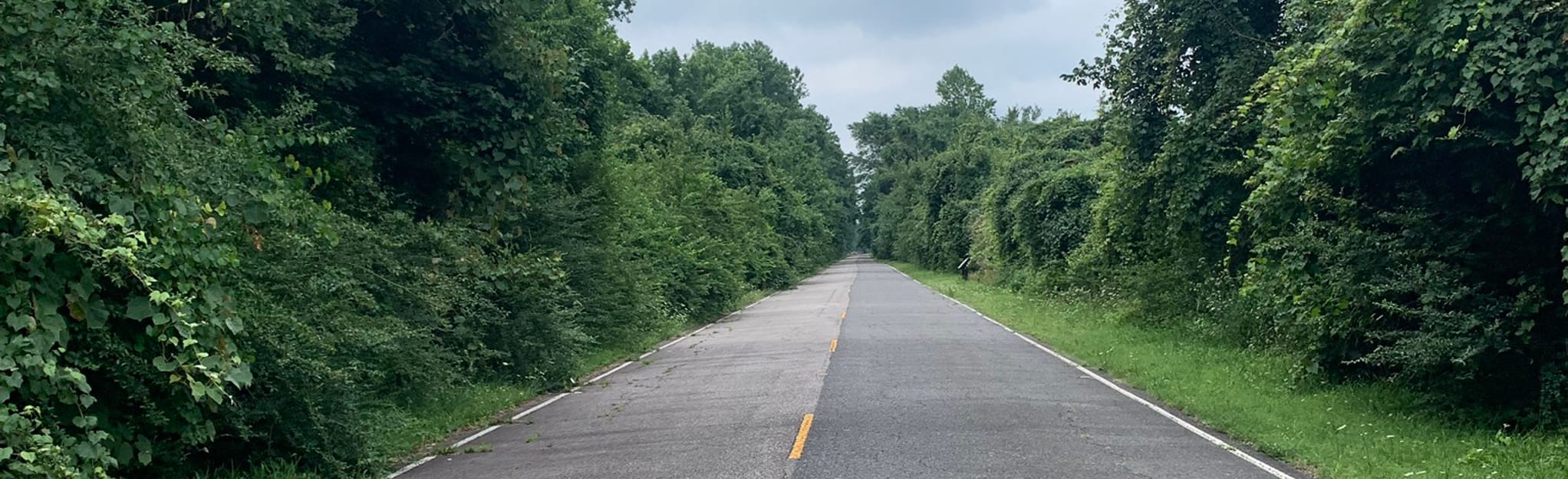 Dismal Swamp Canal Trail: 345 Reviews, Map - Virginia | AllTrails