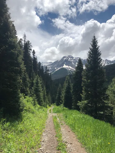 Best Camping Trails in Mount Sneffels Wilderness | AllTrails