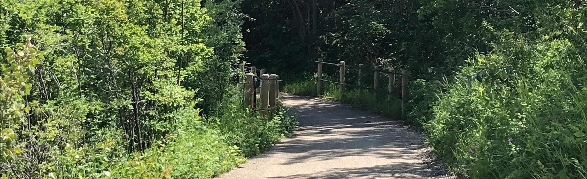 Quarry and Bow River Parkway: 256 foto's - Alberta, Canada | AllTrails