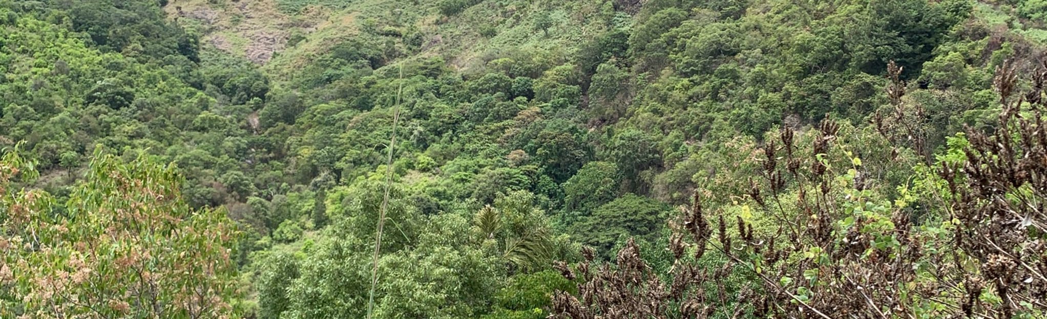 Kookal Waterfalls: 1 Reviews, Map - Tamil Nadu, India | AllTrails