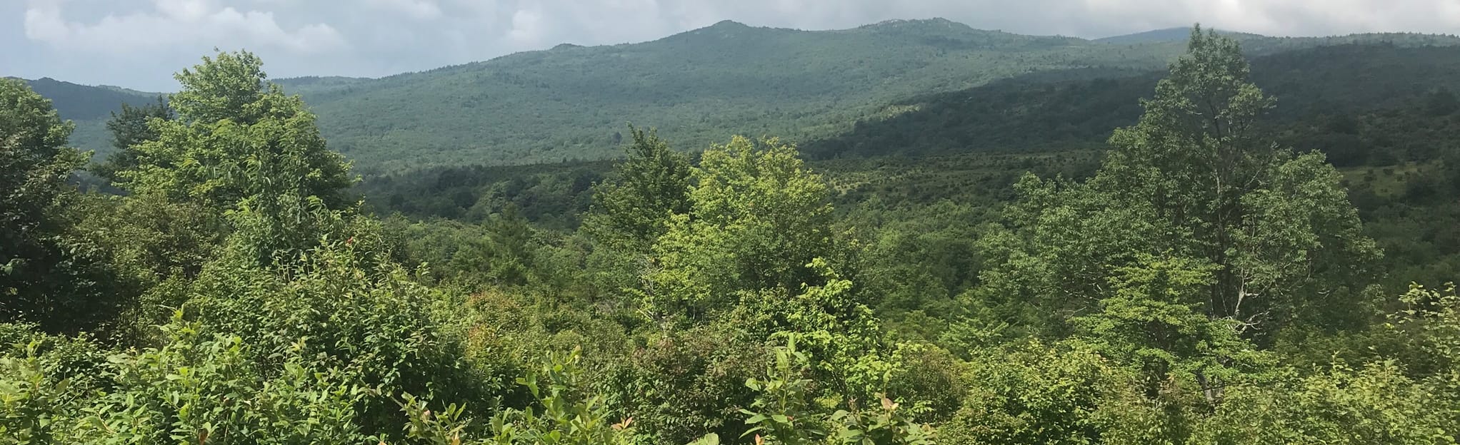Mount Rogers Loop Trail, 5.155 Fotos - Virginia | AllTrails