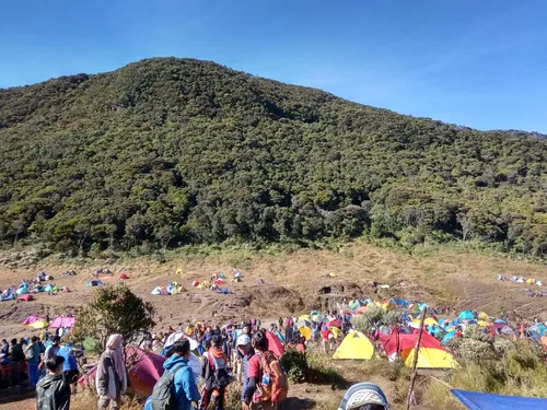 10 Best Hikes and Trails in Mount Gede Pangrango National Park | AllTrails