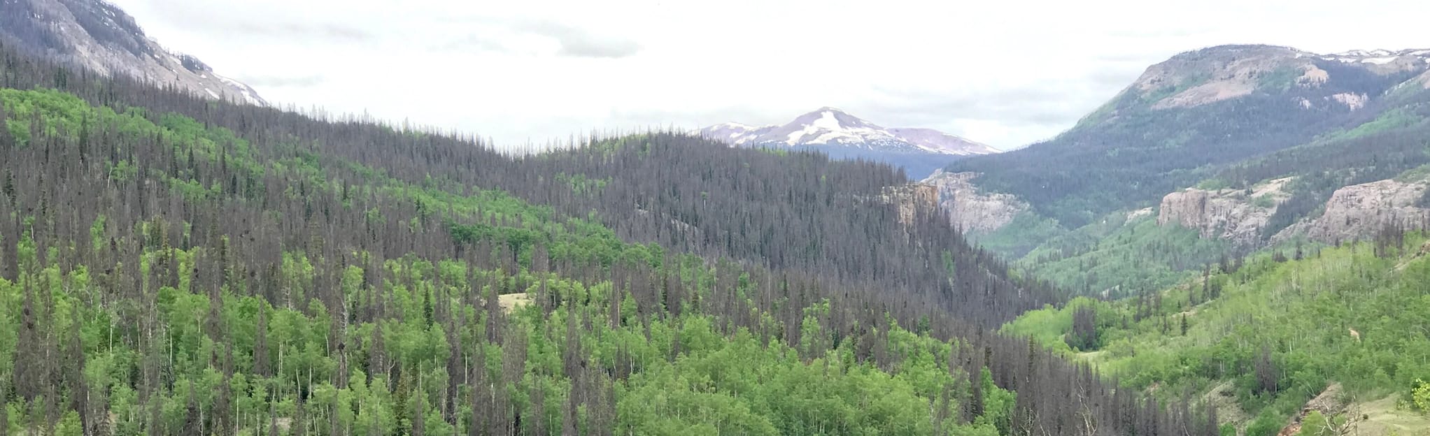 Rio Grande Gorge Loop | Map, Guide - Colorado | AllTrails